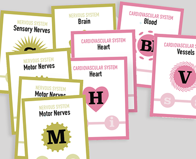 Game: Cell-or-System