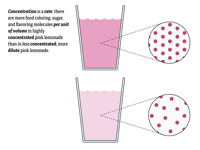 Scene: Concentrating on Pink Lemonade