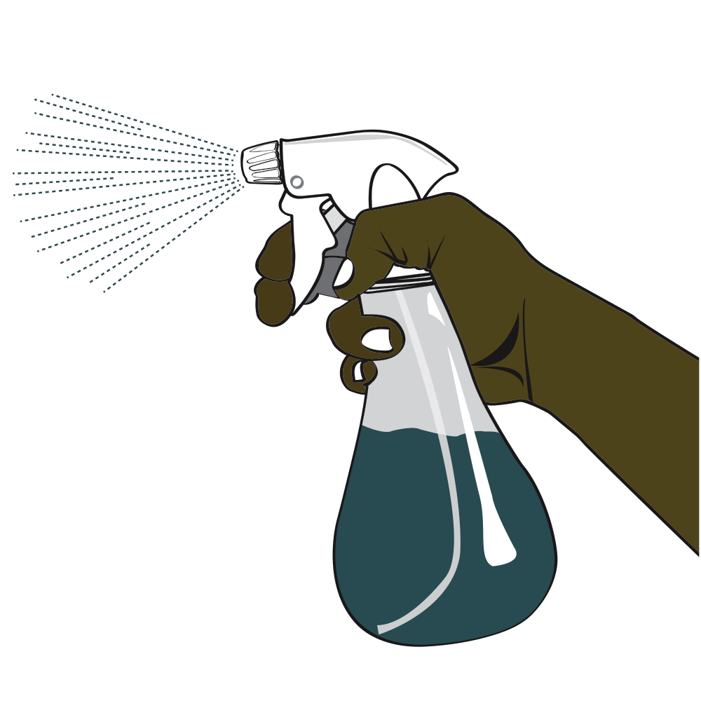 Lab: Tracing the Path of Water through a Watershed